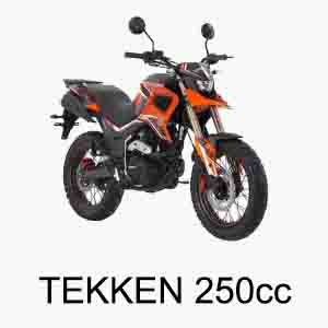 TEKKEN 250cc Archives - Roadies Store